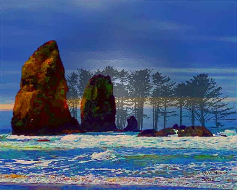 Phantom Forests of the Oregon Coast - ArcheanWeb